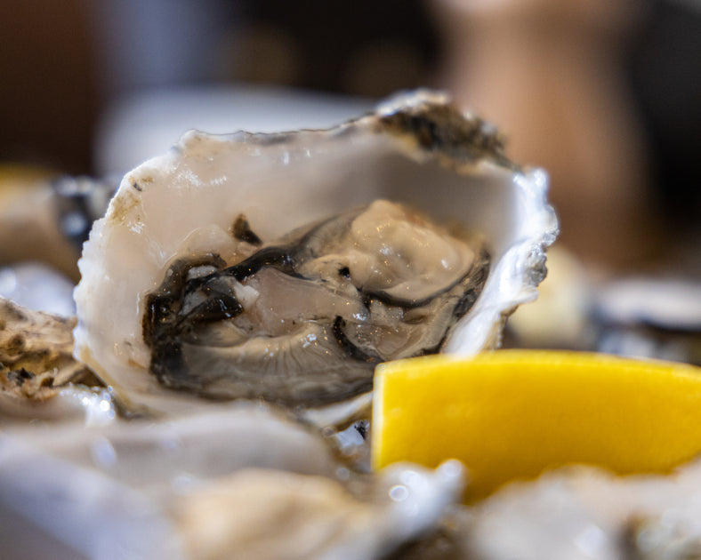 Welke oester raden wij aan? – oesterexclusief